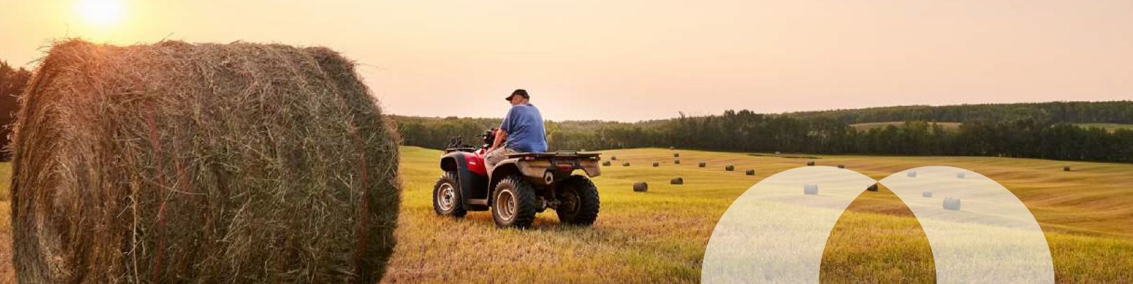 The next frontier in Canada’s agri-food sector: Technology-driven ...